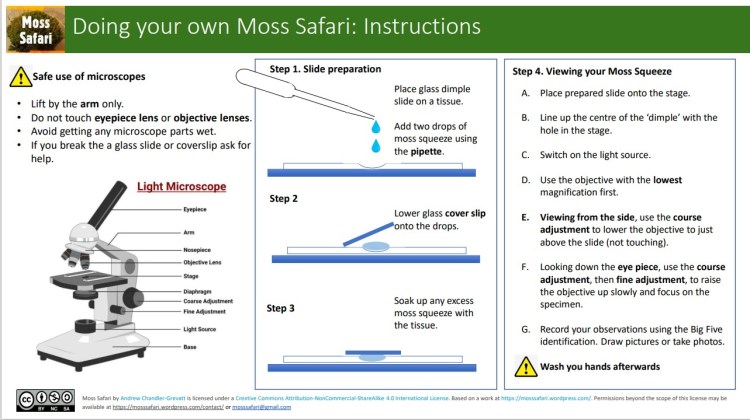 How to do a Moss Safari – Moss Safari