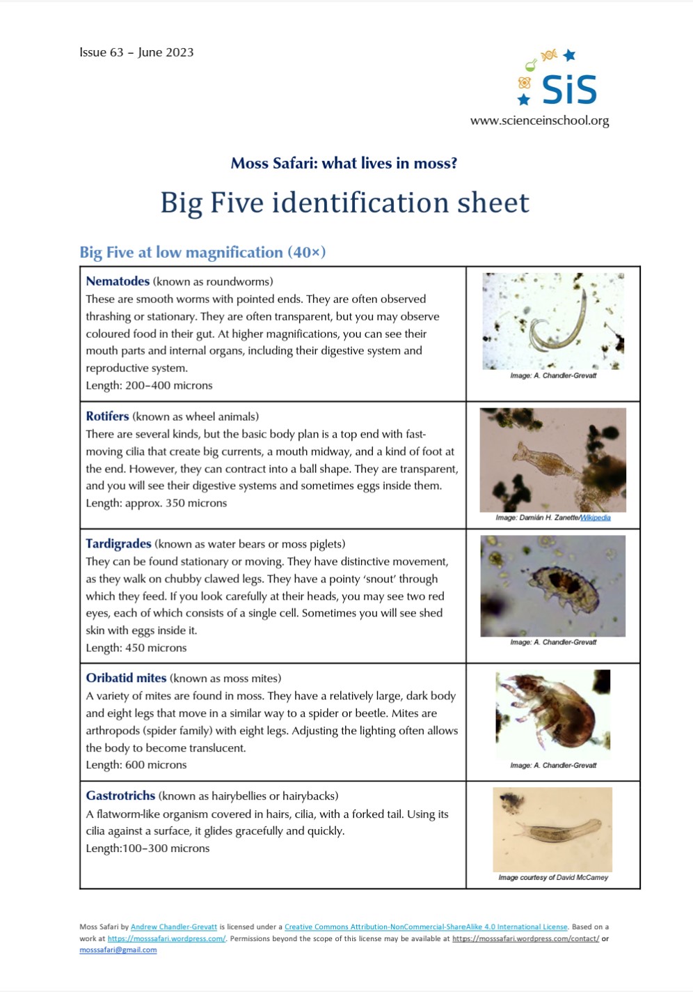 How to do a Moss Safari – Moss Safari