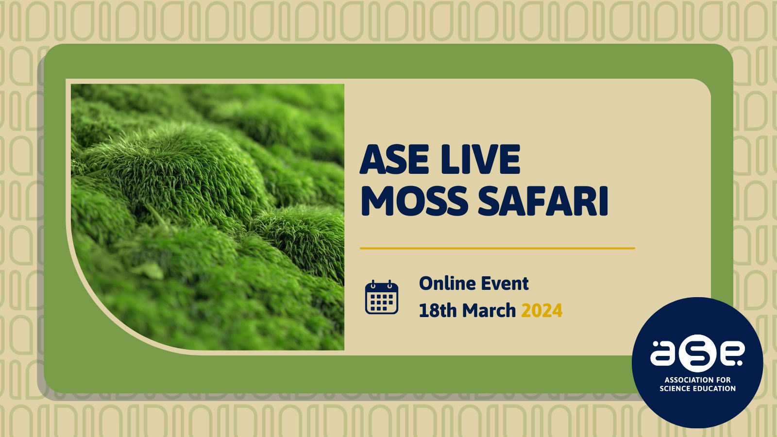 EVENTS & PROJECTS – Moss Safari