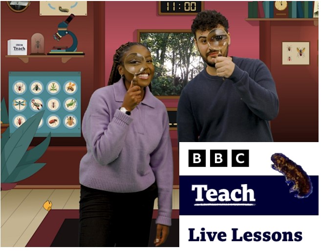 EVENTS & PROJECTS – Moss Safari