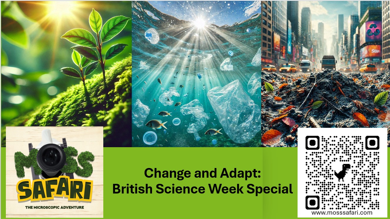 Microscopes, moss and education: The ASE Conference 2025 – Moss Safari