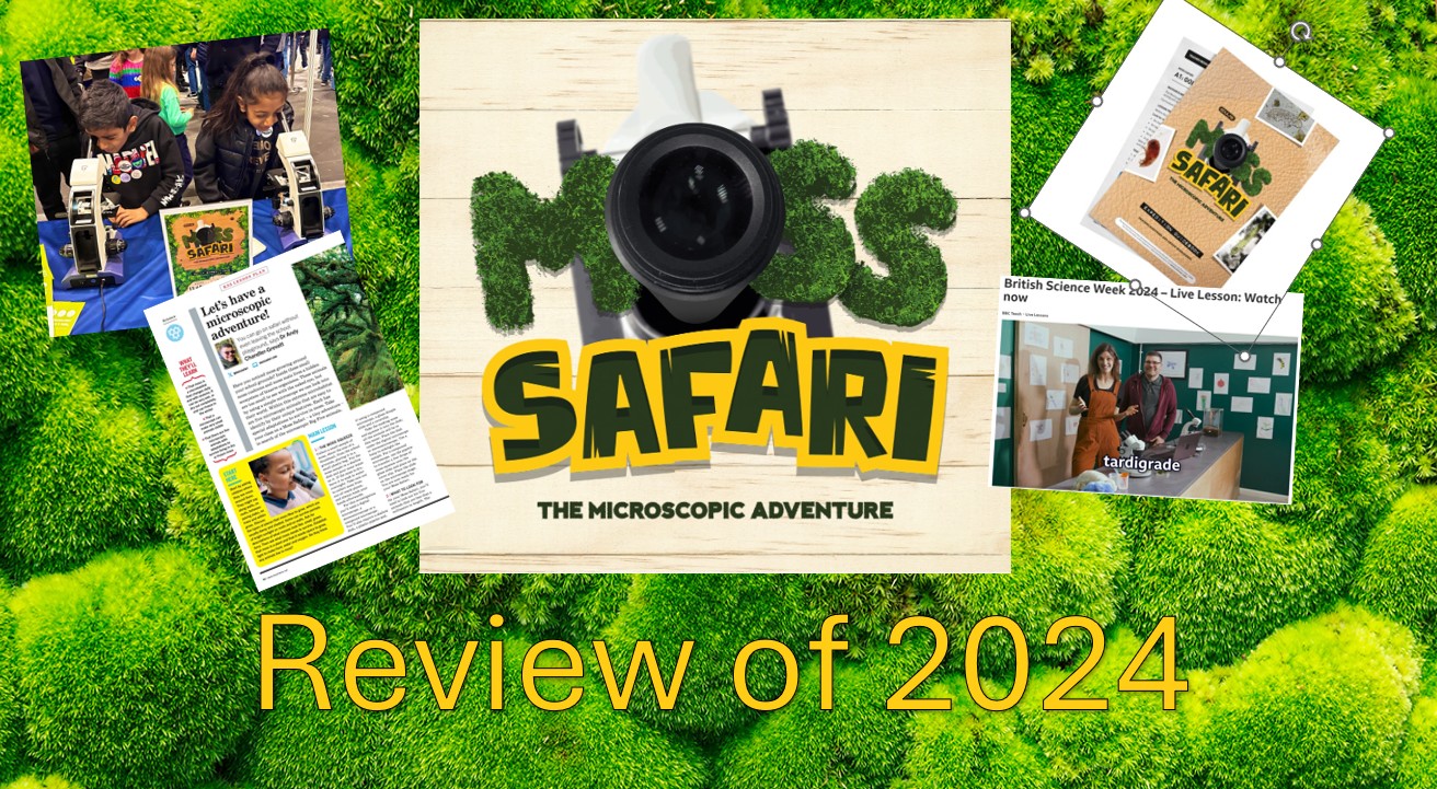 Moss Safari Year in Review: Achievements and Insights – Moss Safari