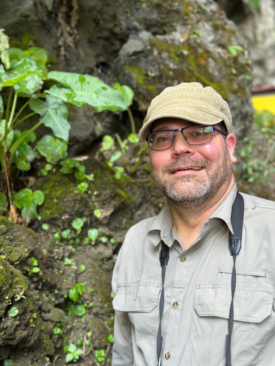 Discovering Mosses Series: Steps to identifying a moss – Moss Safari