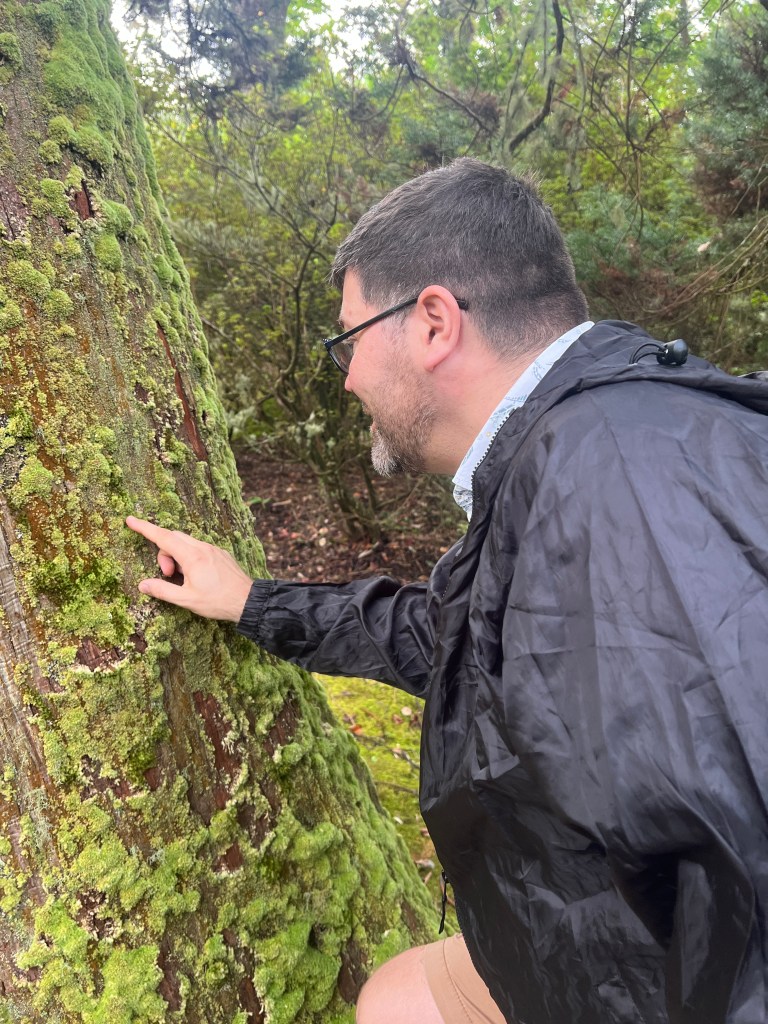 Discovering Mosses Series: Steps to identifying a moss – Moss Safari
