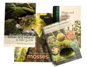 Discovering Mosses Series: Steps to identifying a moss – Moss Safari